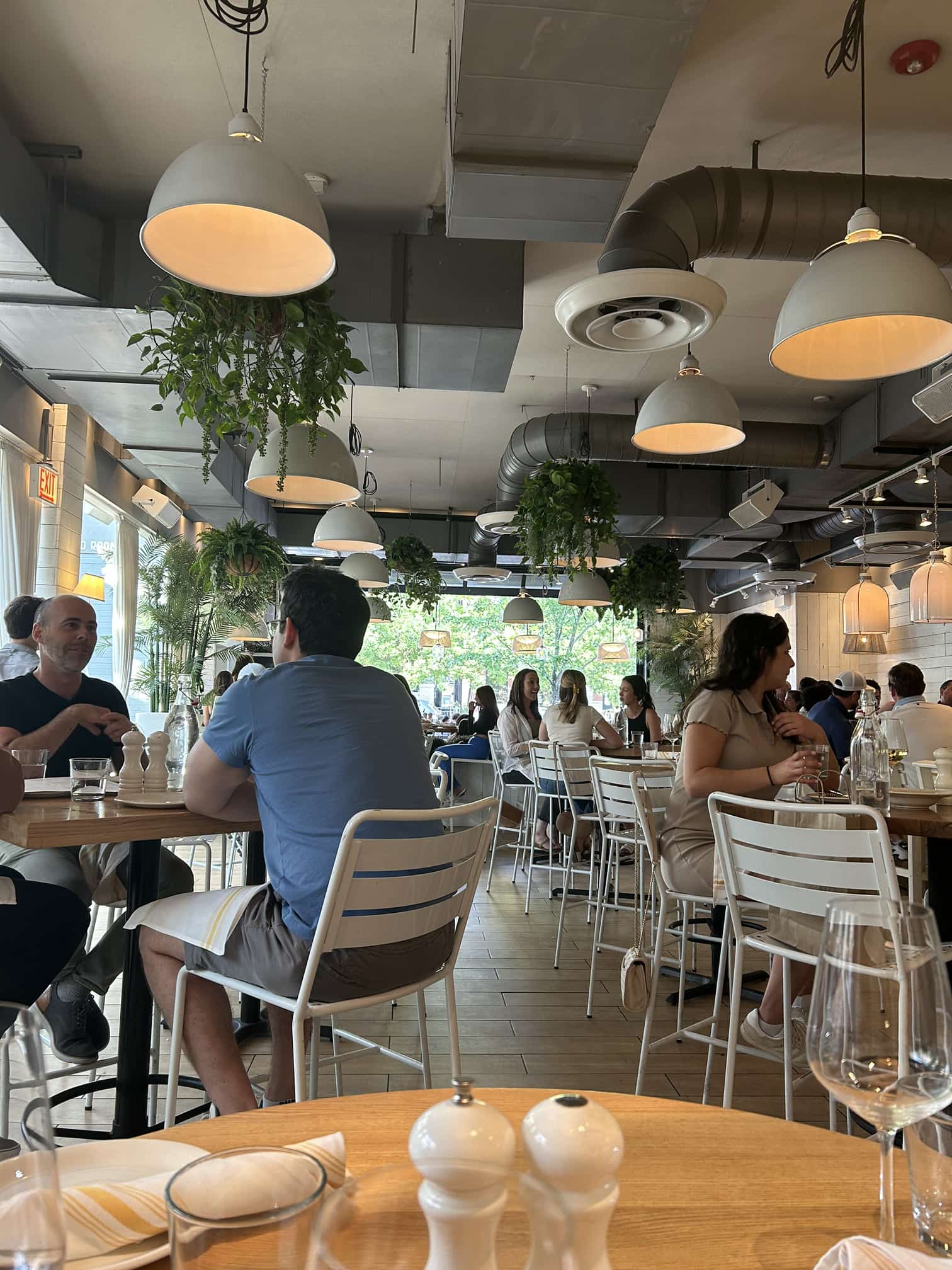 Summer House Santa Monica Review – Vibrant Guide